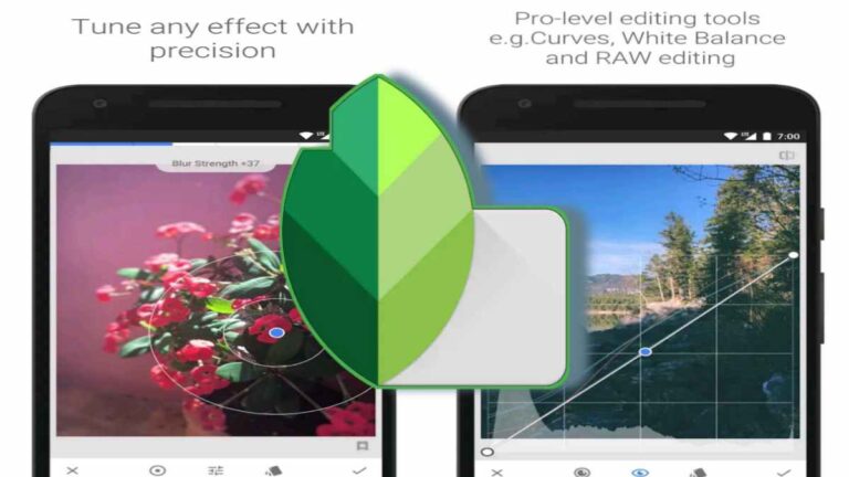Snapseed Aplikasi Andalan Google, Edit Foto Jadi Lebih Aesthetic - ruber.id